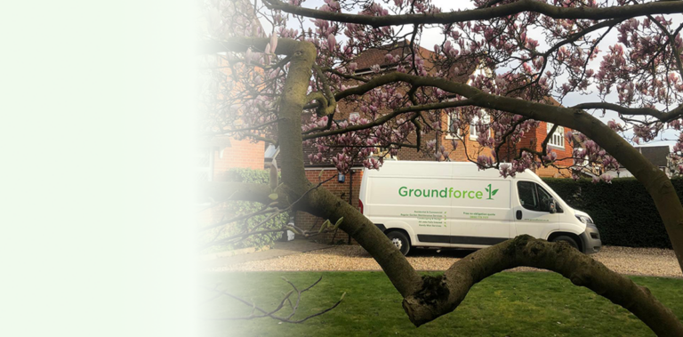 About - Groundforce1